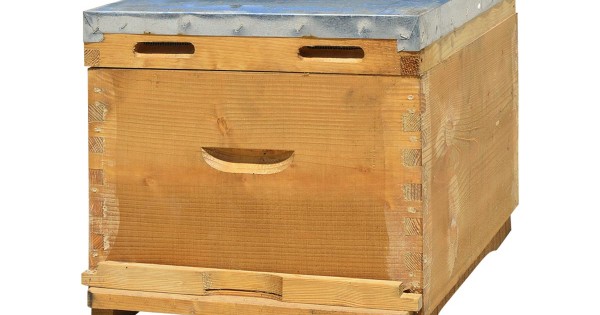 ΜΟΝΗ ΚΥΨΕΛΗ ΜΕ ΣΤΑΘΕΡΗ ΒΑΣΗ ΒΡΑΣΜΕΝΗ ΧΩΡΙΣ ΠΛΑΙΣΙΑ
